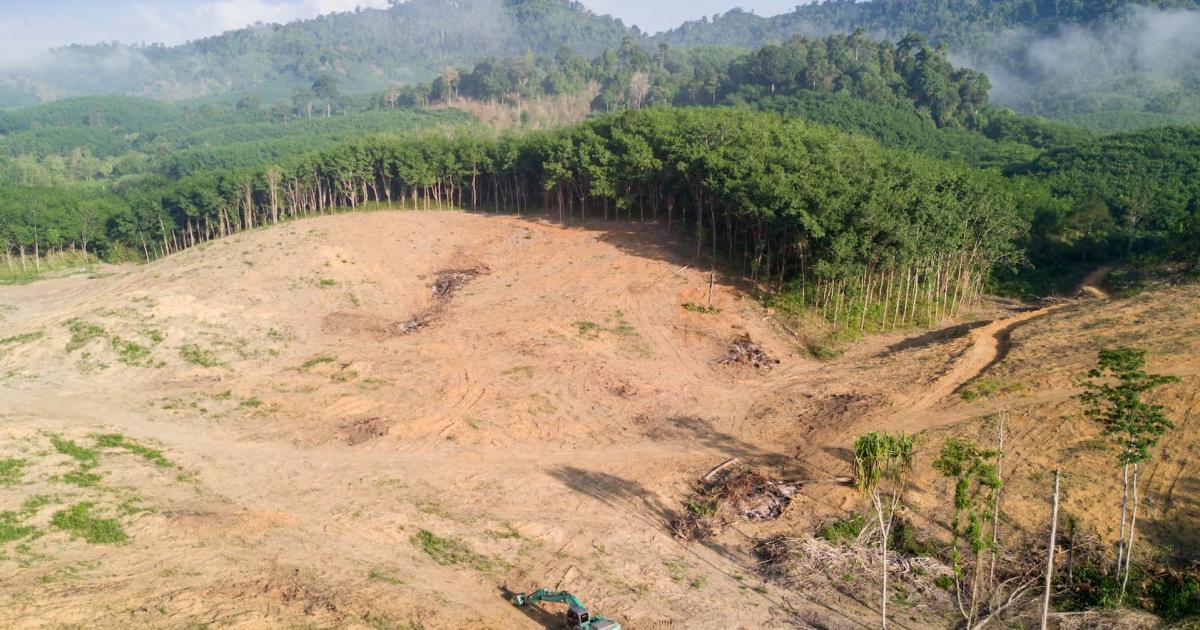 Climate Risk and Resilience | Howden Broking Group