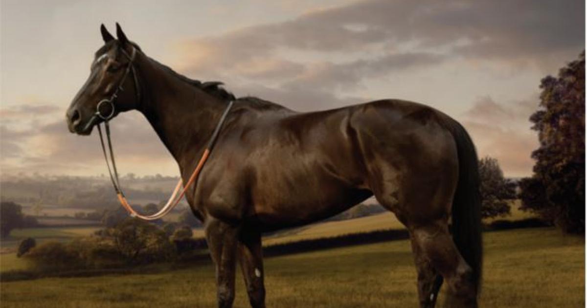 Howden at Royal Ascot 2024