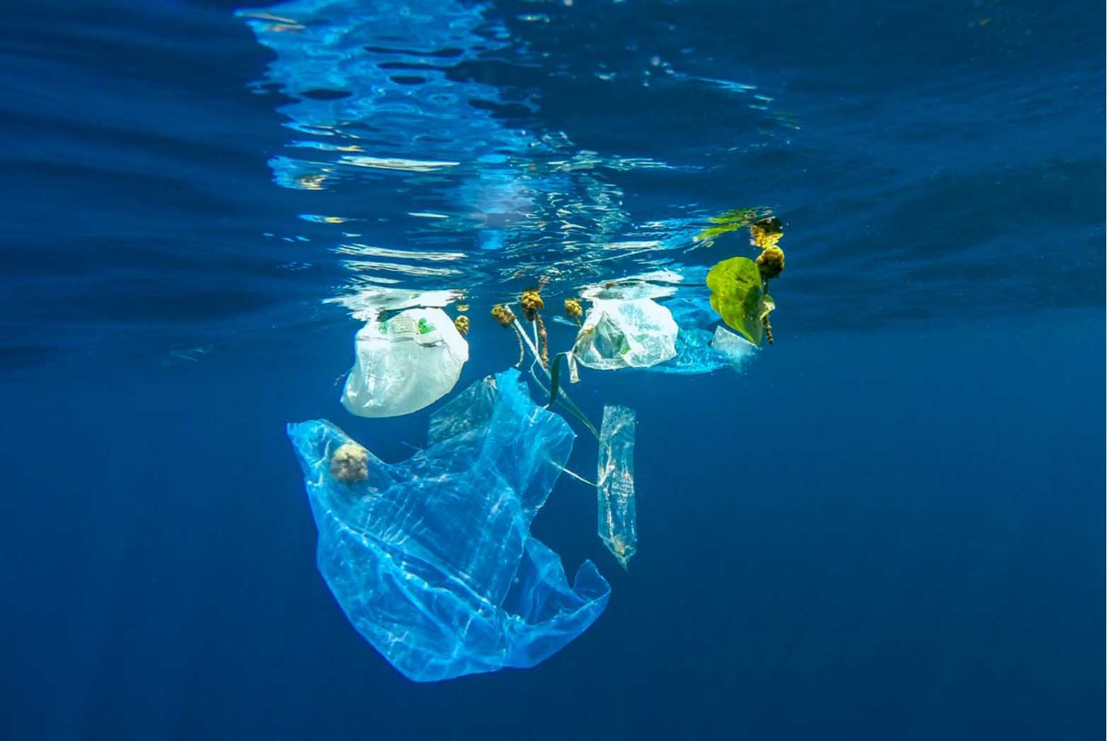 Sustainability